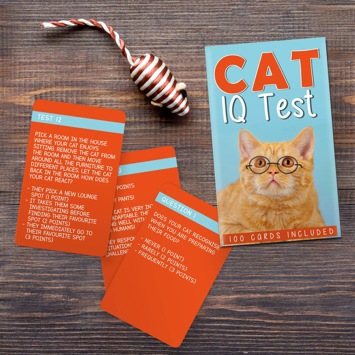 Cat IQ Test — LOCAL FIXTURE